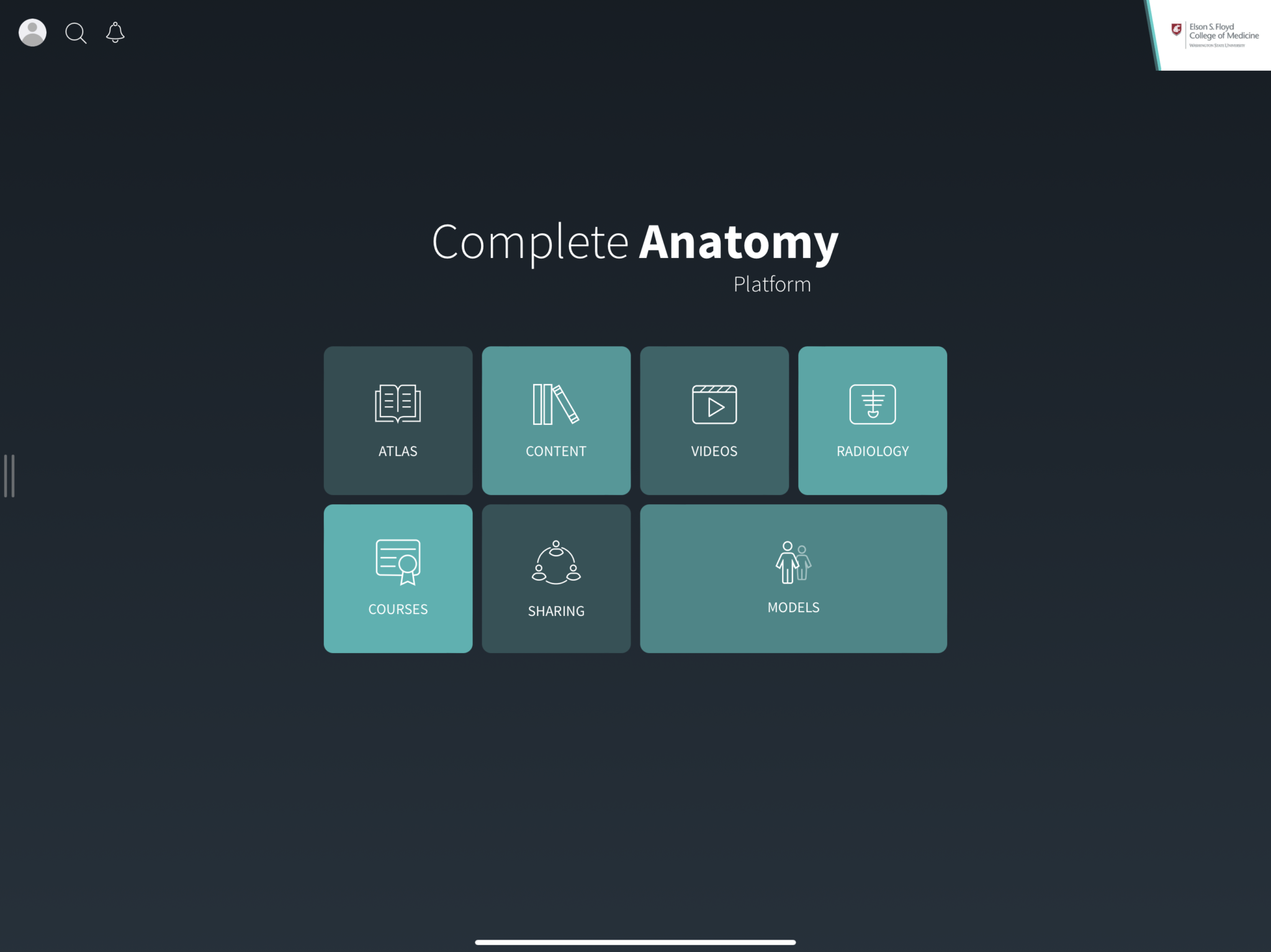 Complete Anatomy Basics