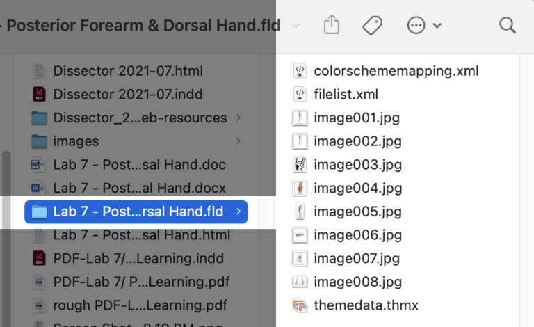 How to extract images from a Microsoft Word document