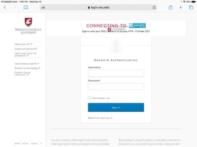 Global Protect VPN Client