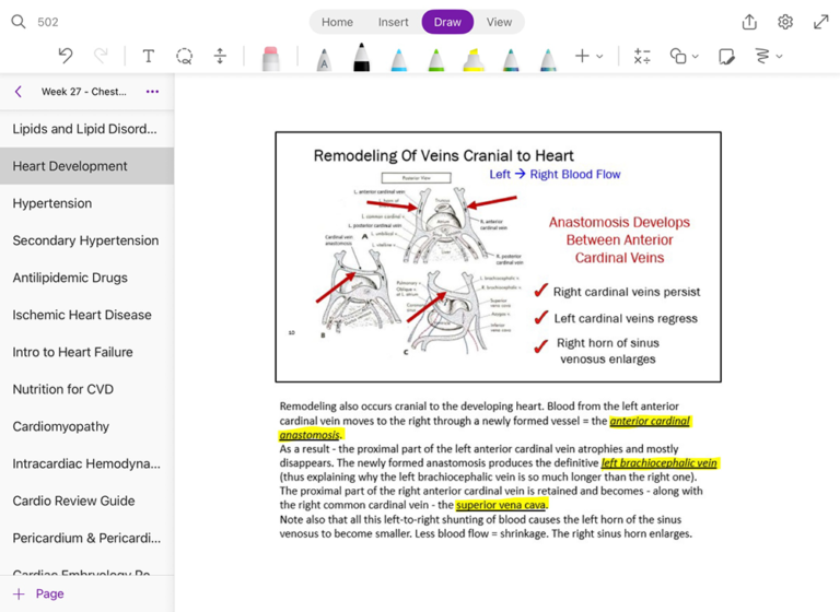 Digital note-taking with OneNote