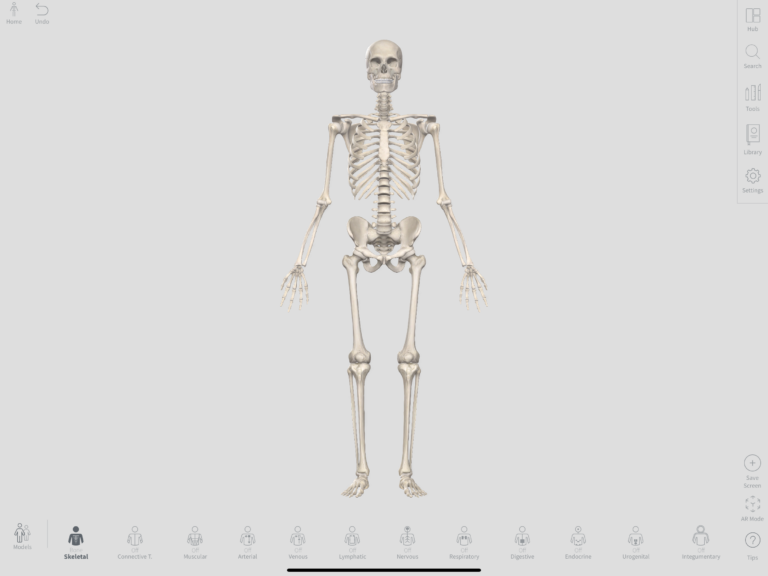 Complete Anatomy Basics