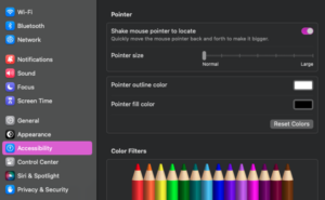Computer Cursor Pointer Accessibility